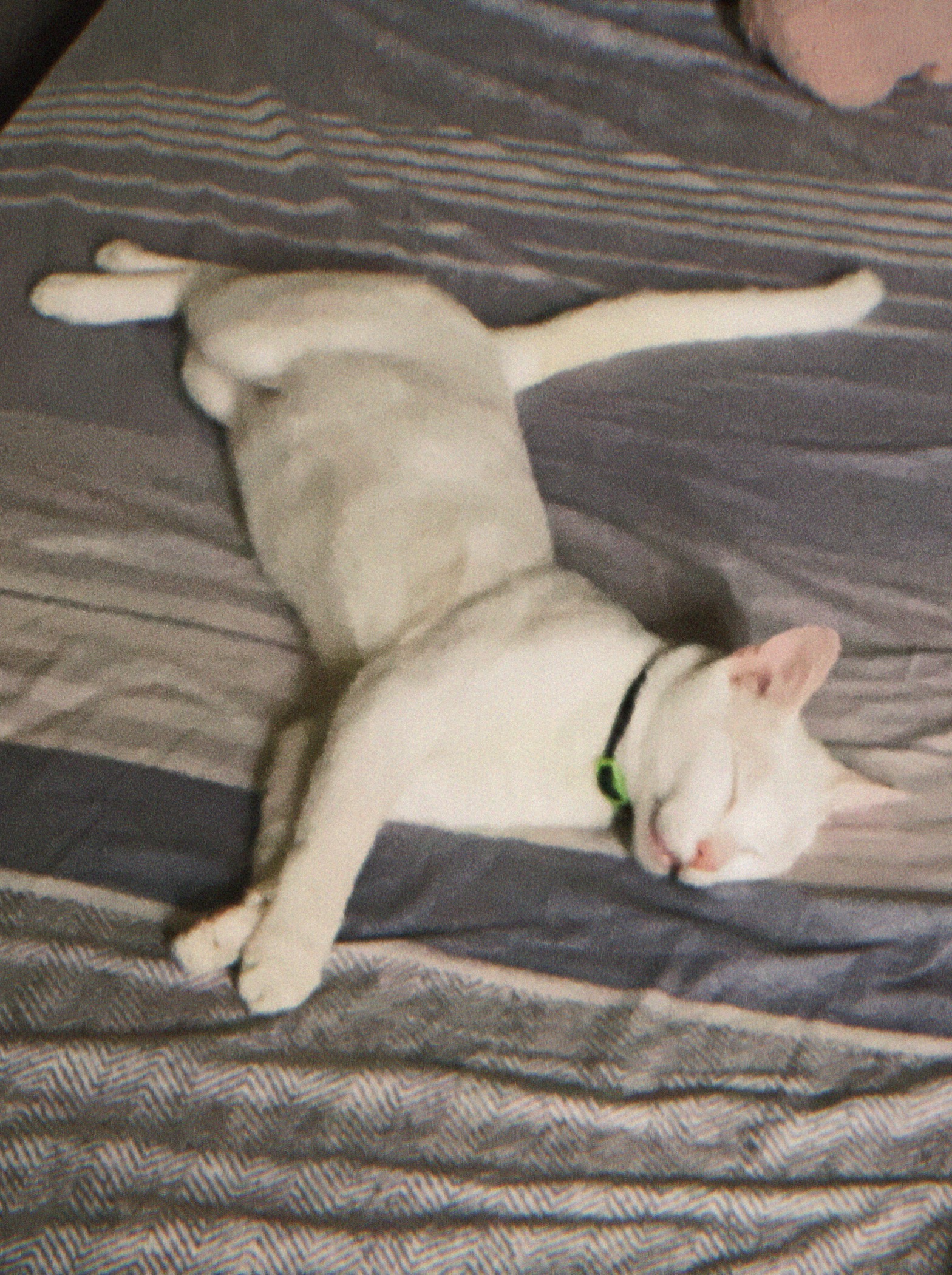 Bed is for sleeping – jessa